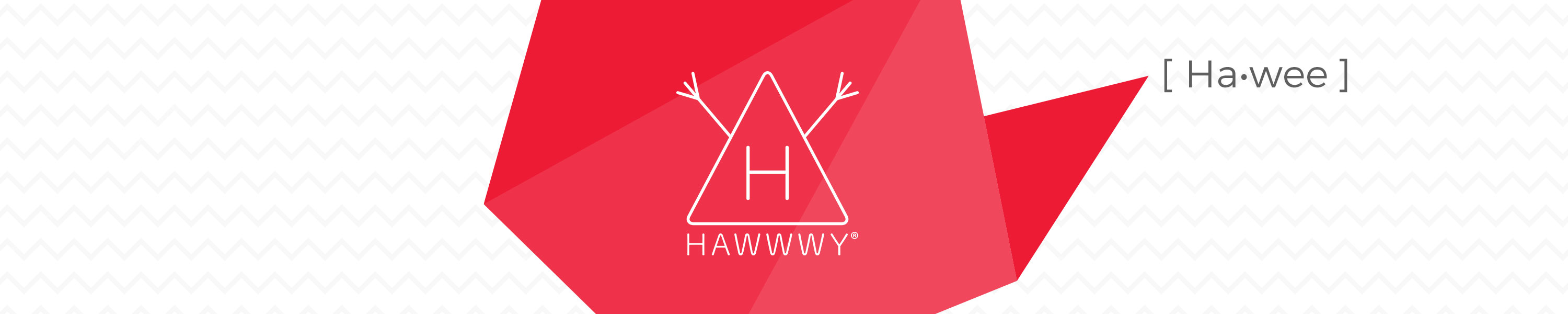 Amazon.com: HAWWWY®