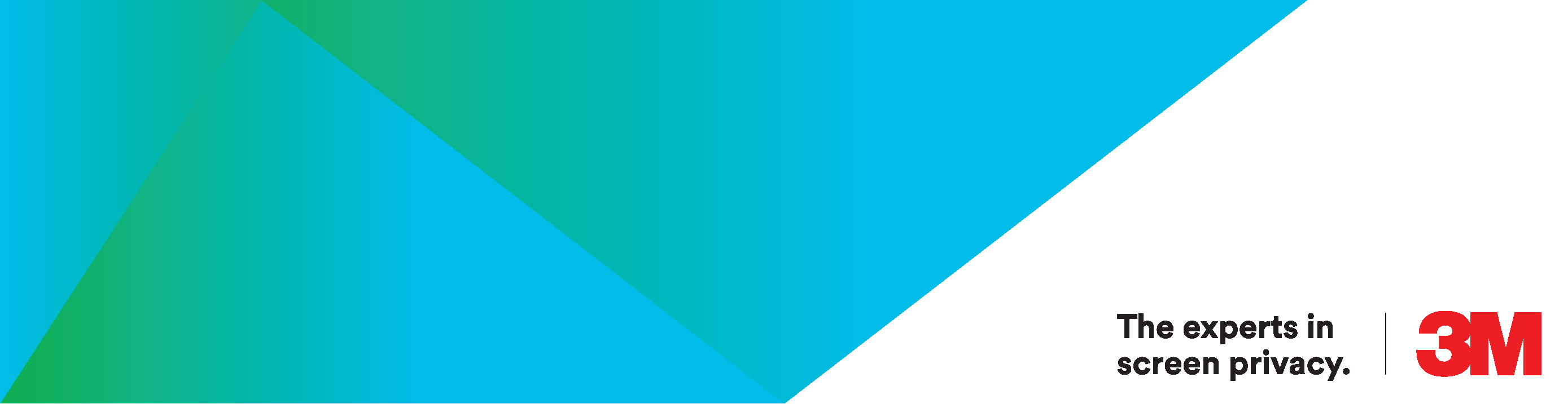 Amazon.com: 3M Privacy Filters