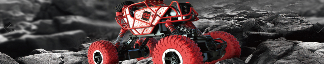 Amazon.com: FREE TO FLY: Remote Control Car