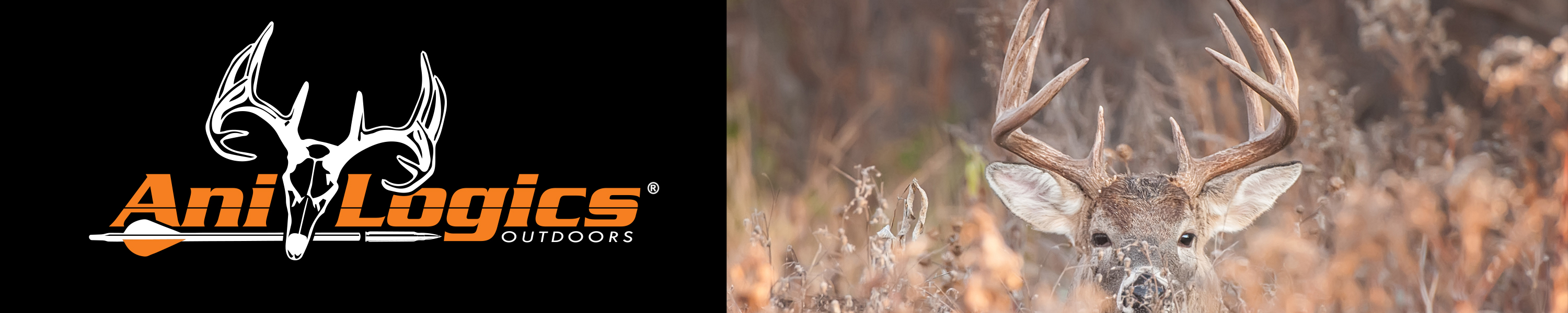 Amazon.com: Ani-Logics Outdoors®: Supplements