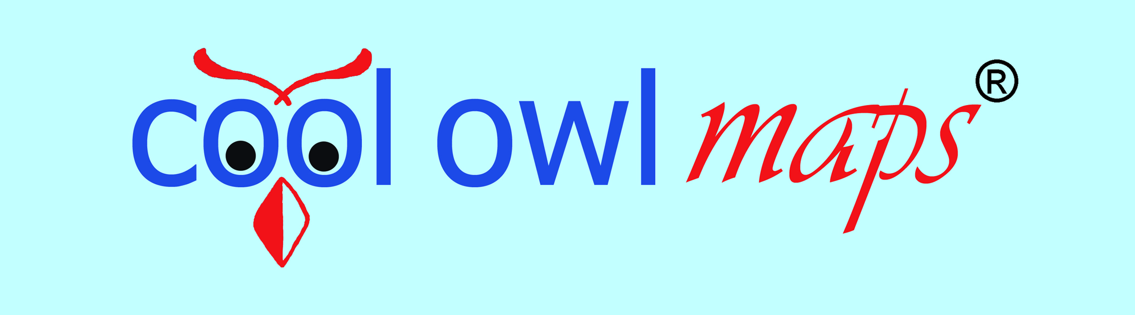 Amazon.com: Cool Owl Maps: USA Maps