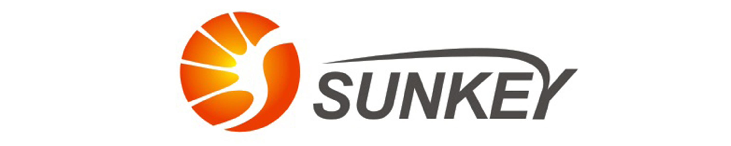 Amazon.com: sunkey