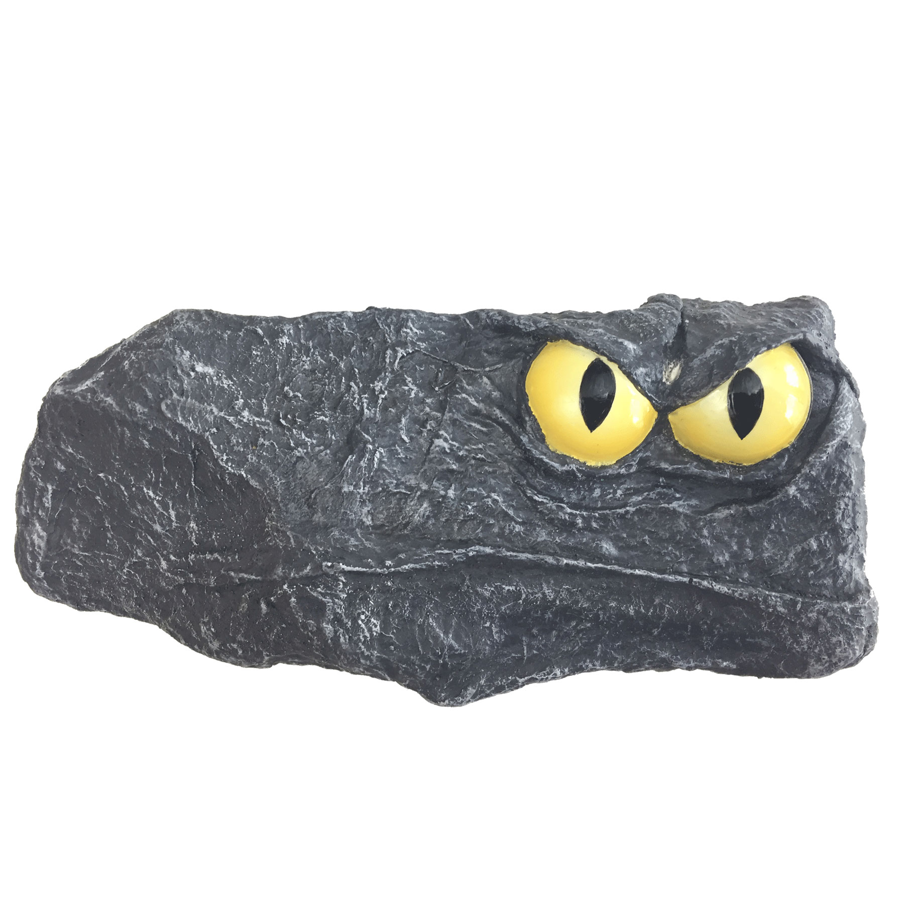 Amazon.com: Grumpy Rocks