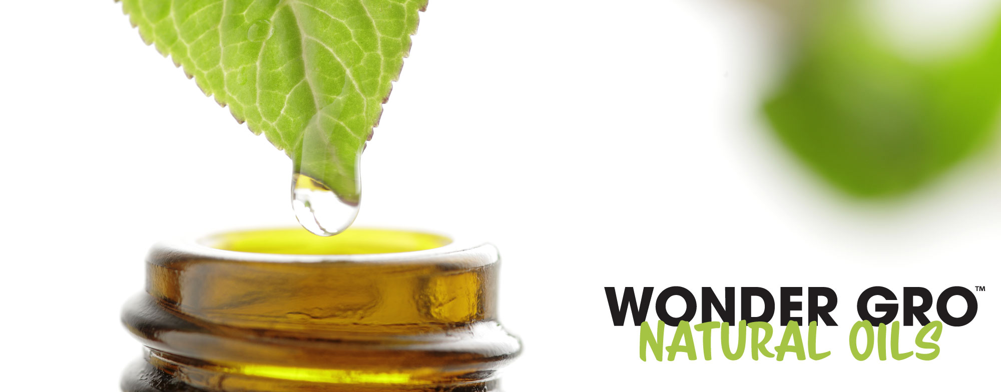 Amazon.com: Wonder Gro: Natural Oils