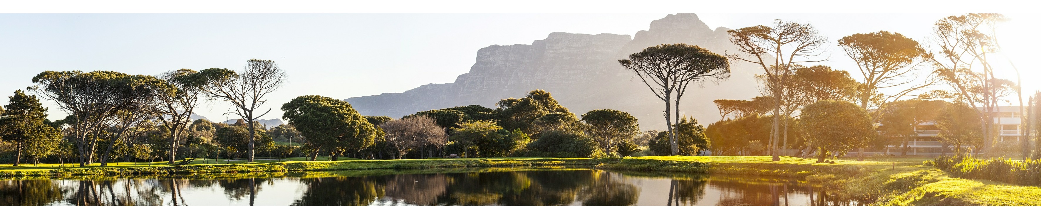 Amazon.com: SAFLAX: Africa