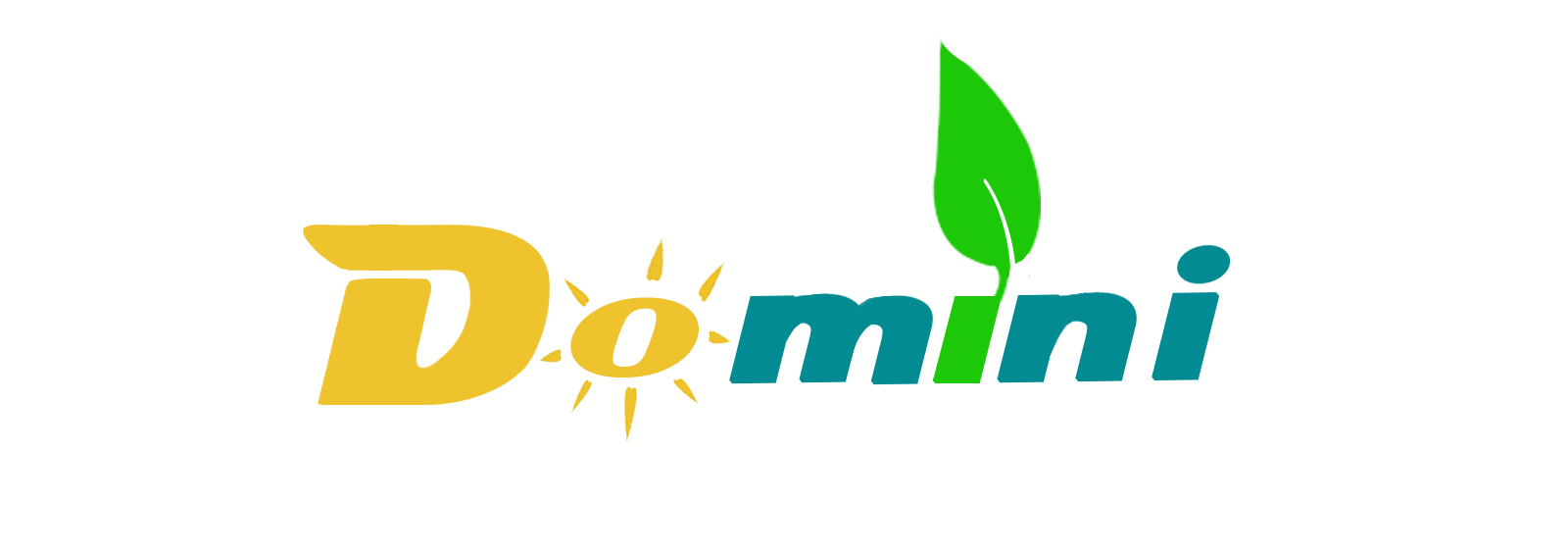 Amazon.com: Domini Live Store: More products