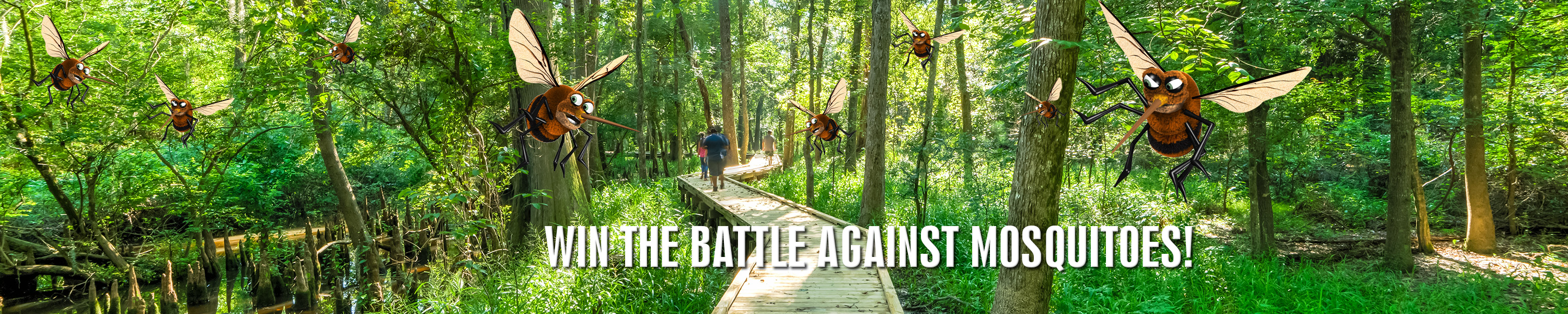 Amazon.com: Mosquito Guard