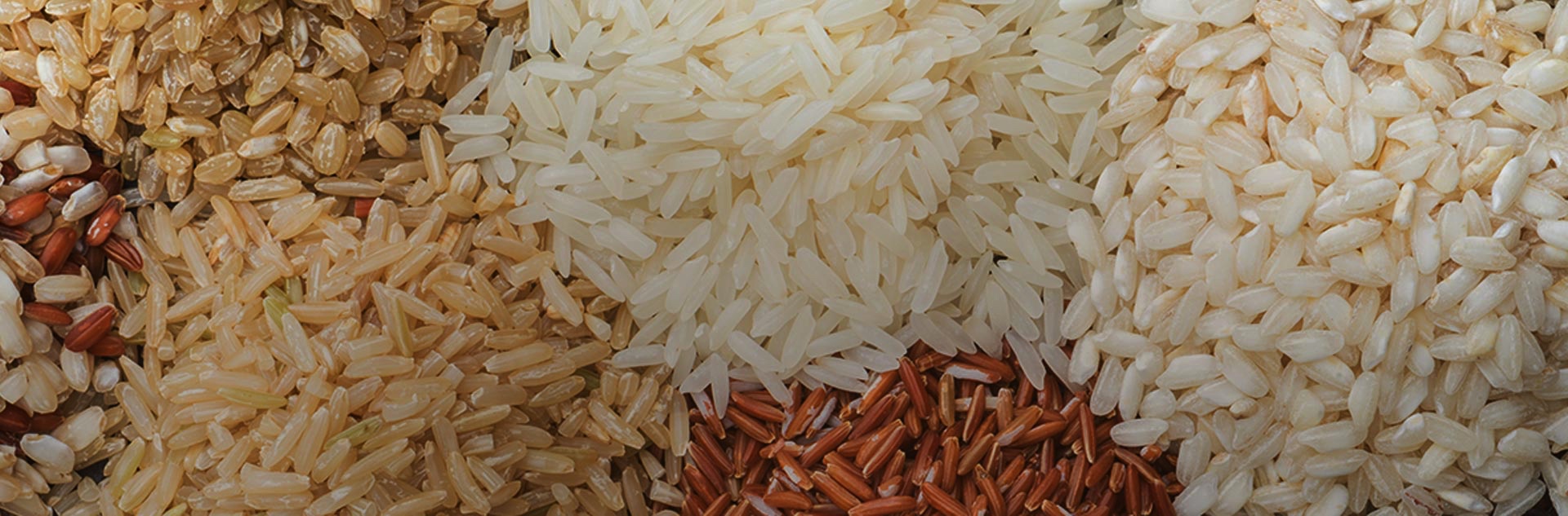 Amazon.com: IBERIA: RICE