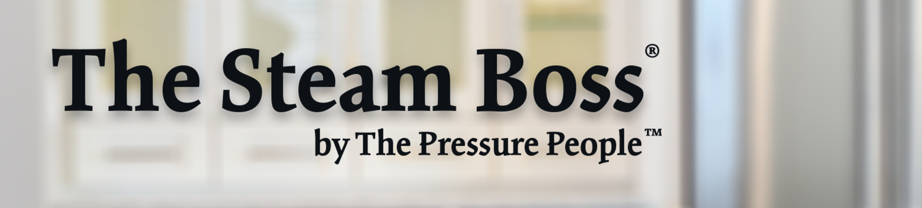 Amazon.com: The Steam Boss: Steam Diverters