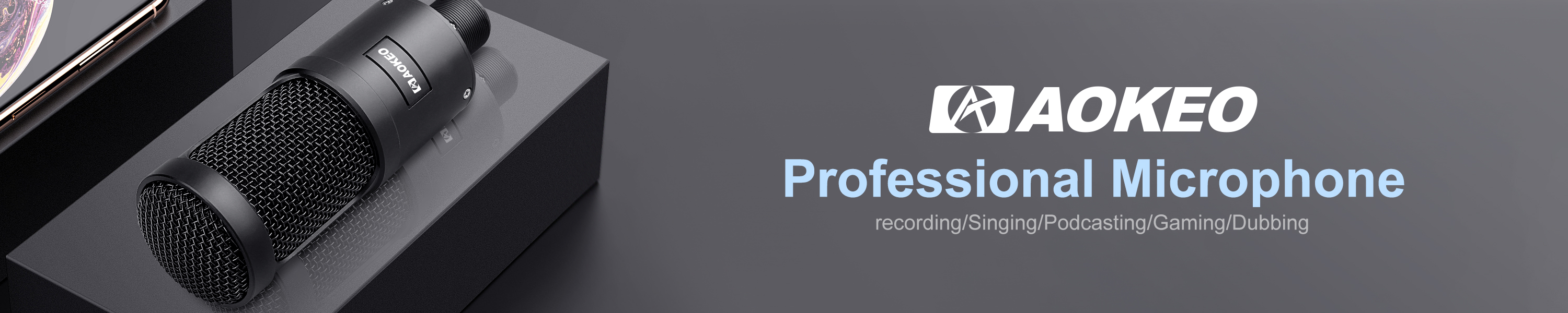 Amazon.com: Aokeo: Microphone