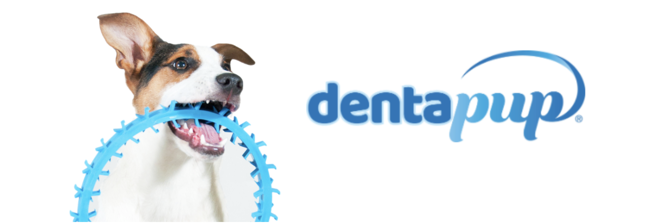 Amazon.com: Dentapup