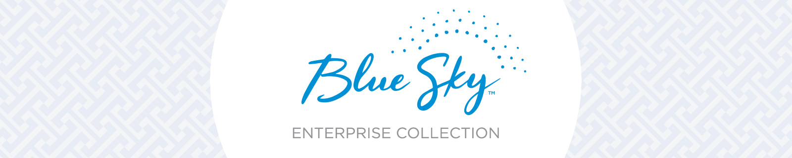 Amazon.com: Blue Sky LLC: Enterprise