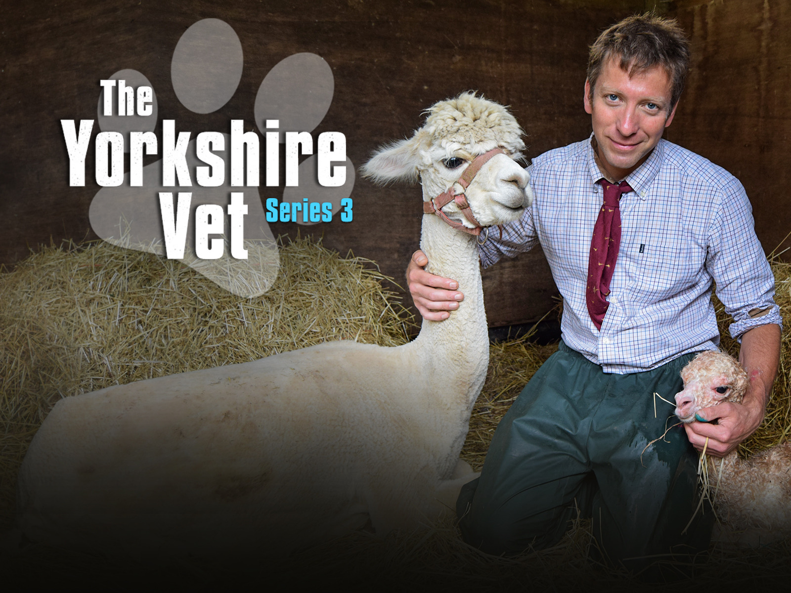 Prime Video: The Yorkshire Vet - Series 3