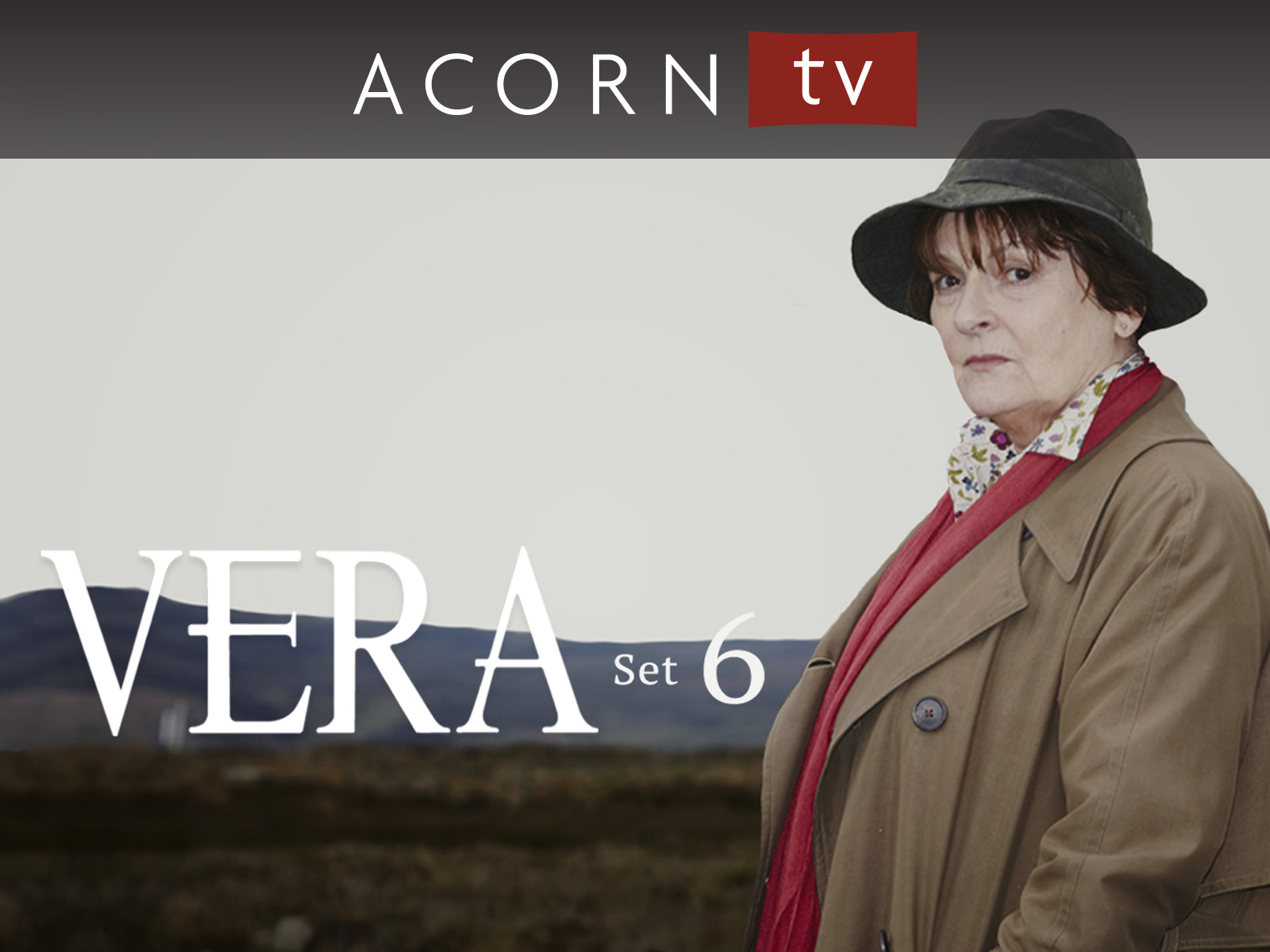 Prime Video: Vera Season 6