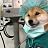 Japón con Jamón : Nekojitablog: Amazon.es: Libros