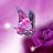BINGO Absolute - Free Bingo Games! - App on Amazon Appstore