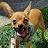 Bruce's Big Move-A Mother Bruce Book: Higgins, Ryan T.: 9781368003544 ...
