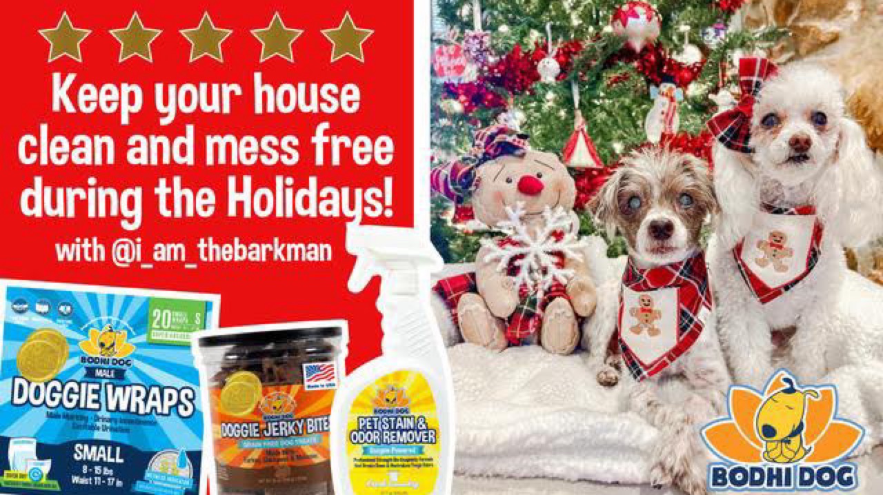 Watch Keep your house mess free for the Holidays! on Amazon Live