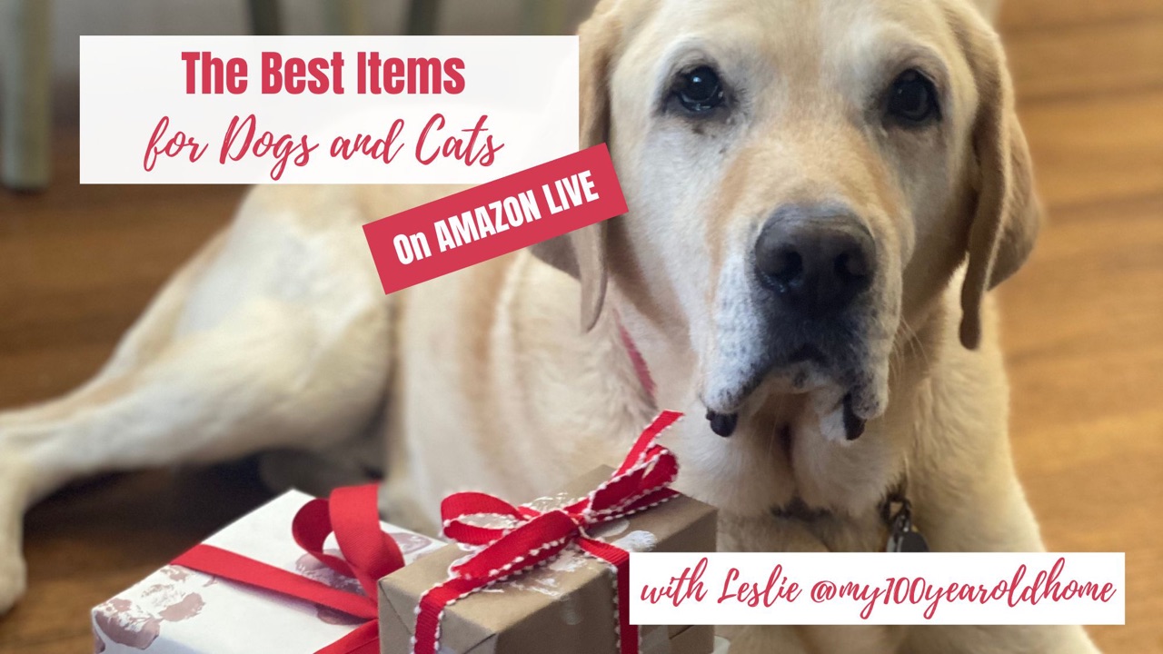 Watch The Best Items for Dogs and Cats on Amazon Live