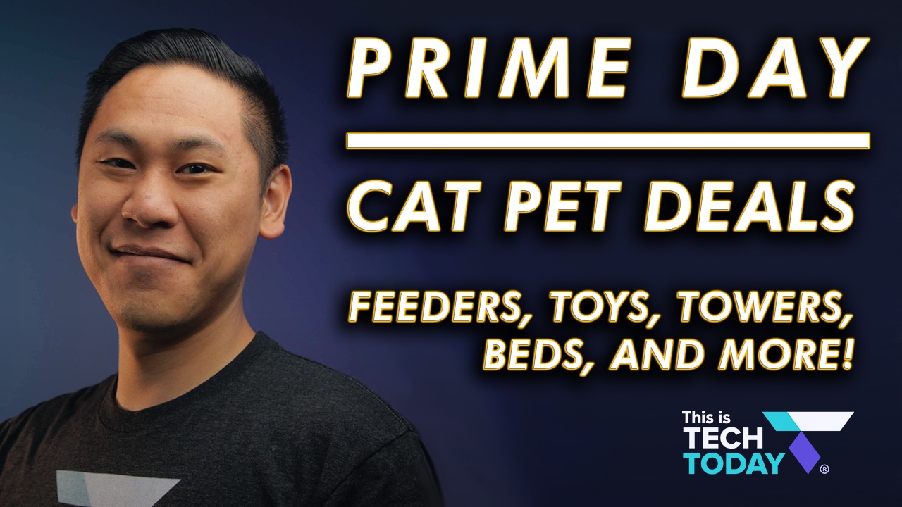 Watch 🐱CAT DEALS& Feeders, Fountains, Trees, Toys, and More! on Amazon Live