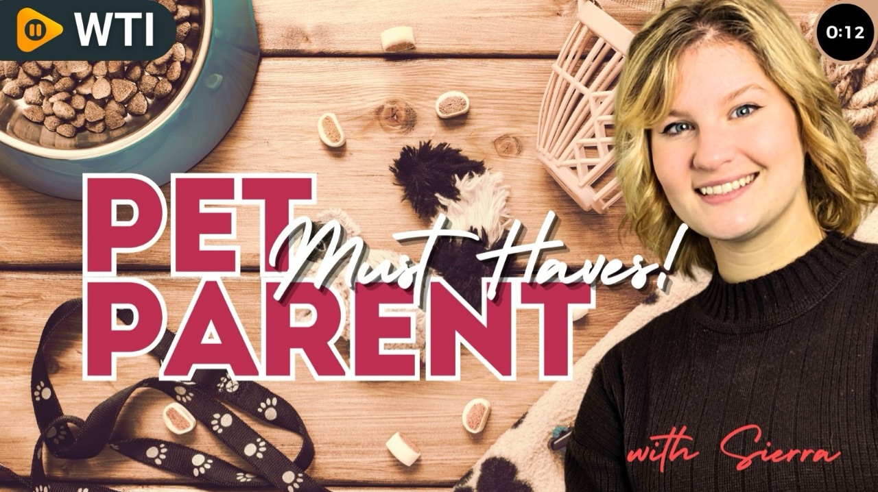 Watch Pet Parent Must Haves on Amazon Live