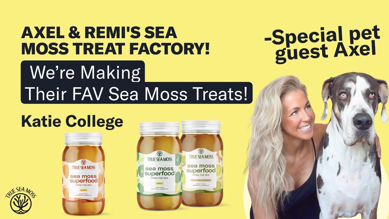 Watch 🥳Exclusive Discount🎉 & Axel’s Sea Moss Treat Factory! on Amazon Live
