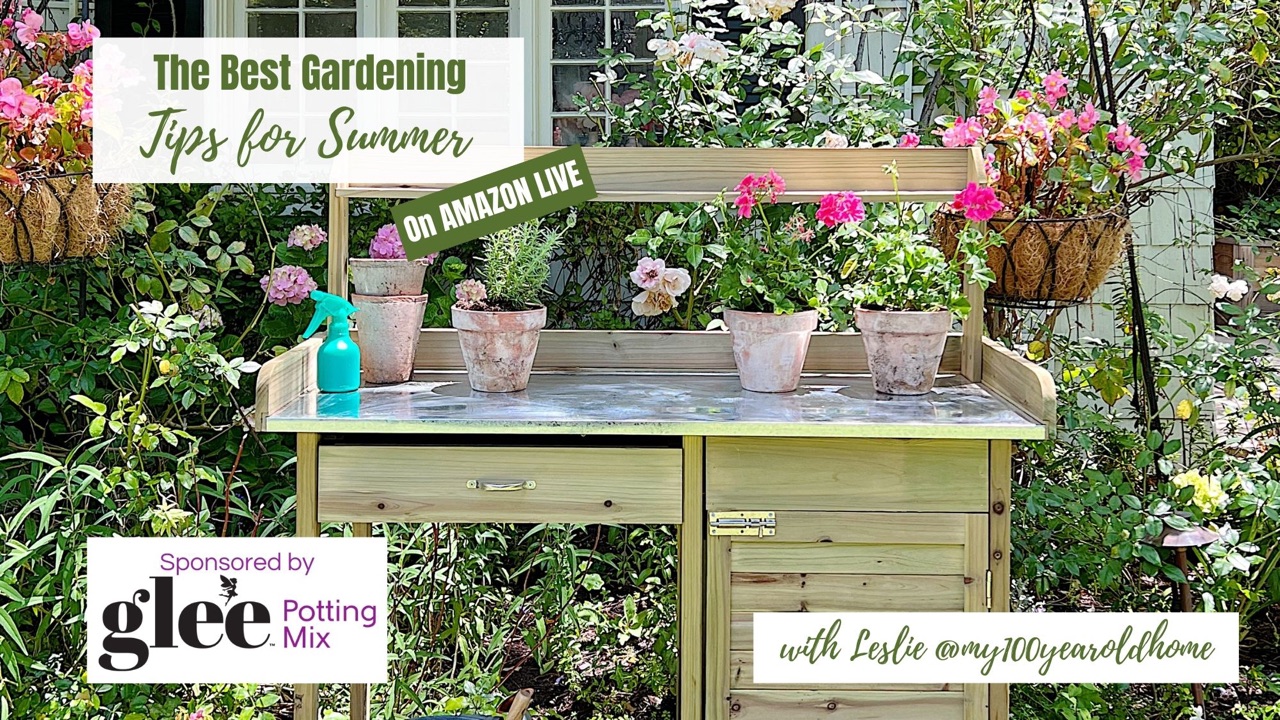 Watch The Best Gardening Tips for Summer on Amazon Live