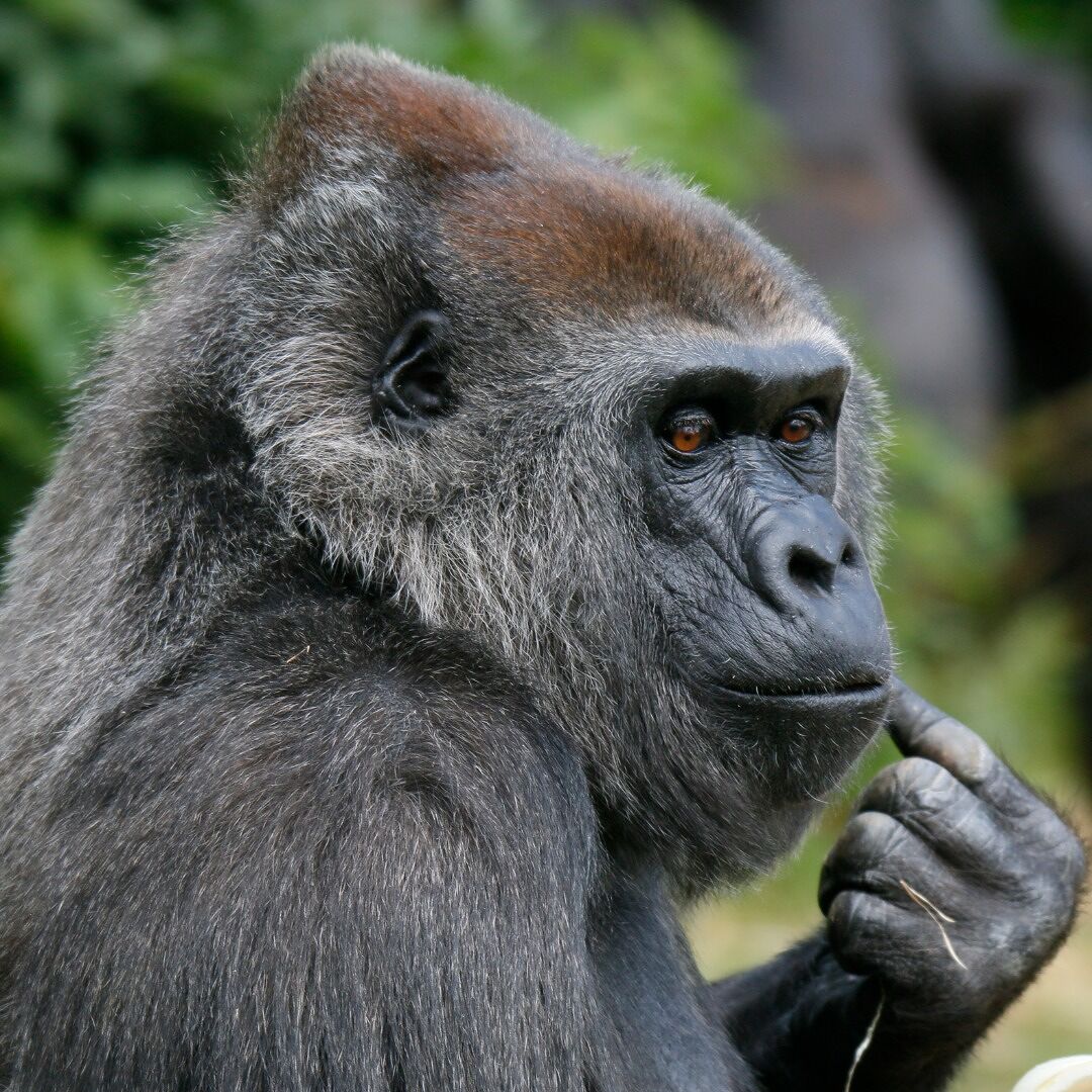 Alan Toyne – Audio Books, Best Sellers, Author Bio | Audible.com