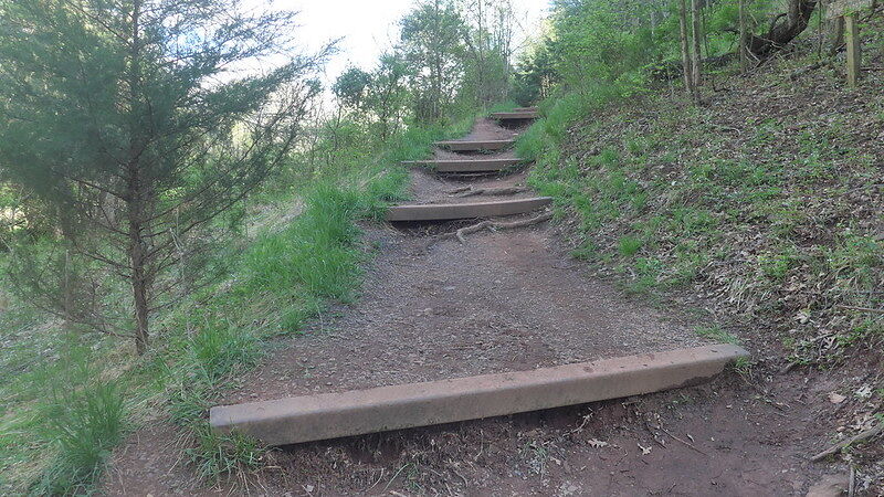 Bound & Gagged Bliss: BDSM Cuckquean Humiliation Bundle - Kindle ...