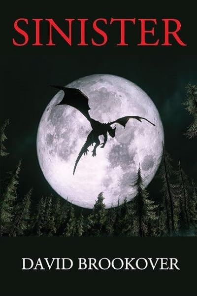 Amazon.com: Dark Fury: Teddi McCoy Horror eBook : Brookover, David: Books