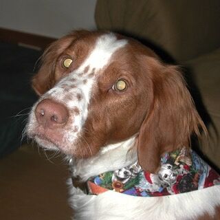 Dave Straube – Audio Books, Best Sellers, Author Bio | Audible.com