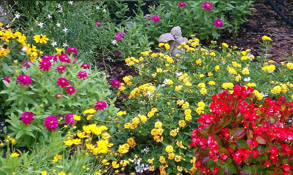 Amazon - At First Sight, the Shirl Jennings story: the story behind the ...