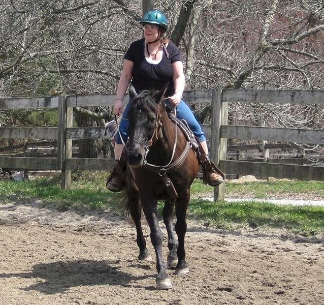 Amazon.com: The Furlites of Aroriel: Earth-bred, Matissia-born eBook ...