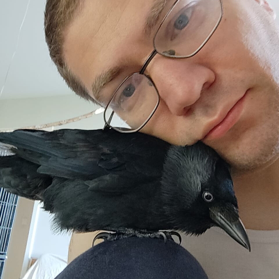 Michel Waylander - Alle Hörbücher bei Audible.de