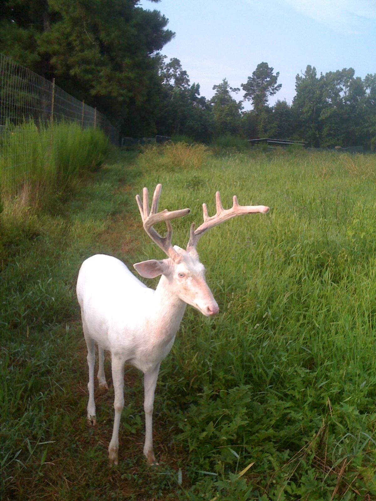 Jim Riley – Audio Books, Best Sellers, Author Bio | Audible.com