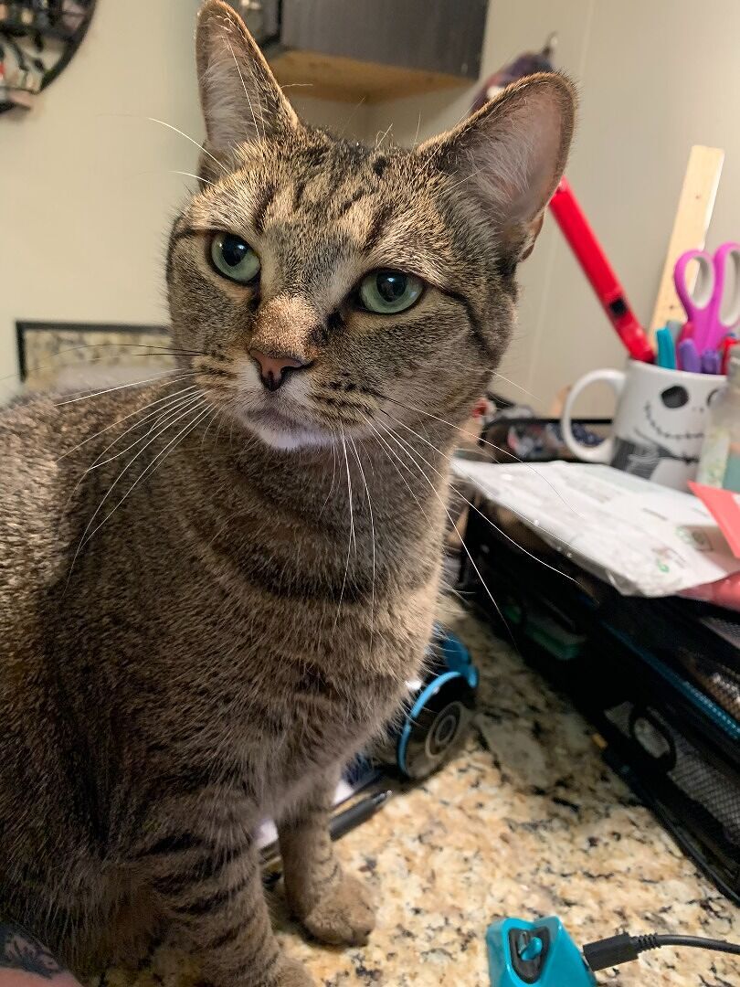 Megan Derr – Audio Books, Best Sellers, Author Bio | Audible.com