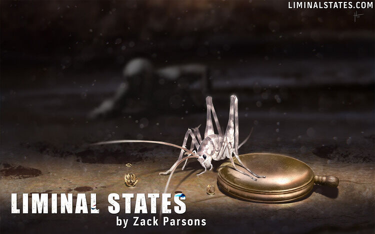 Amazon.com: Liminal States eBook : Parsons, Zack: Kindle Store