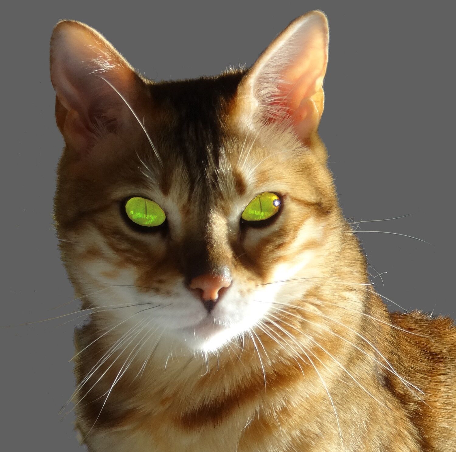 RM Rotcod – Audio Books, Best Sellers, Author Bio | Audible.com