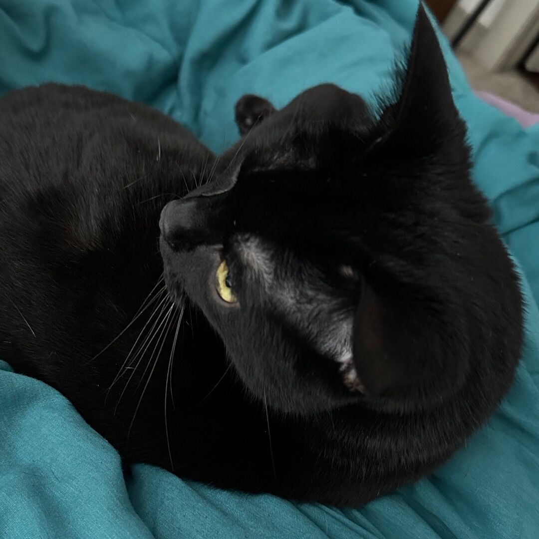 Ari François Lucas Audiobooks | Audible.co.uk