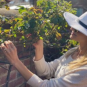 Successfully Grow & Garden Citrus Fruit Trees Using Pots and Containers: Beginner’s guide to ...