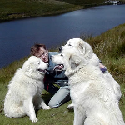 Amazon.com: The Little Book Of Pointers: For C Programmers (Little Programming Books ...