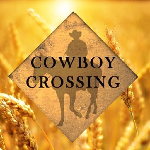 Alexa's Cowboy Crossing Romances – Audio Books, Best Sellers, Author ...