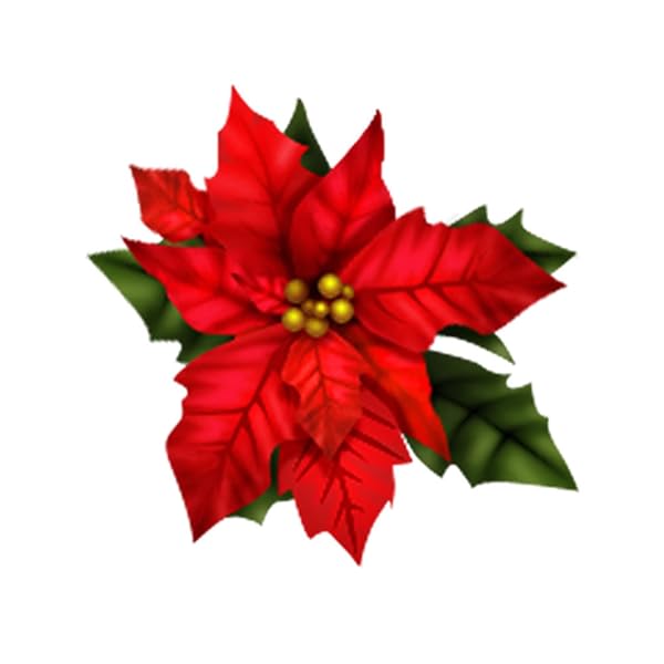 Xml Json In 8 Hours For Beginners Learn Coding Fast Yao Ray Swift Dart R Perl Pandas C