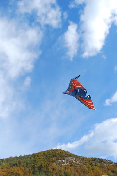 Amazon.com: High-Performance Paper Airplanes Kit: 10 Pre-cut, Easy-to ...