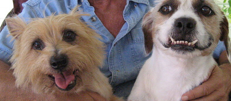 Amazon.com: Introduction to Group Therapy: A Practical Guide, Third ...