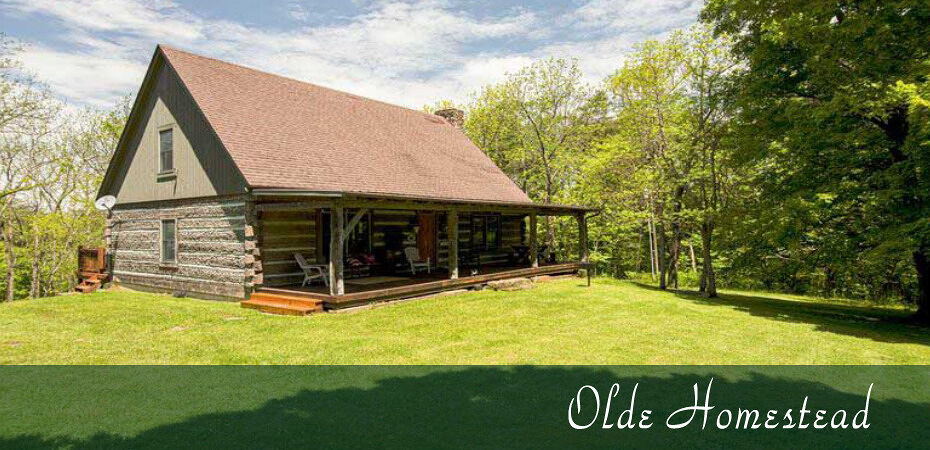 Off the Grid & Homesteading Bundle (2-in-1): Backyard Homestead Manual ...