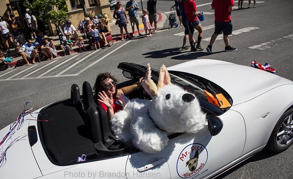 Bad Book - Kindle edition by Brooks, K. S. , Hise, Stephen, Mader, JD ...