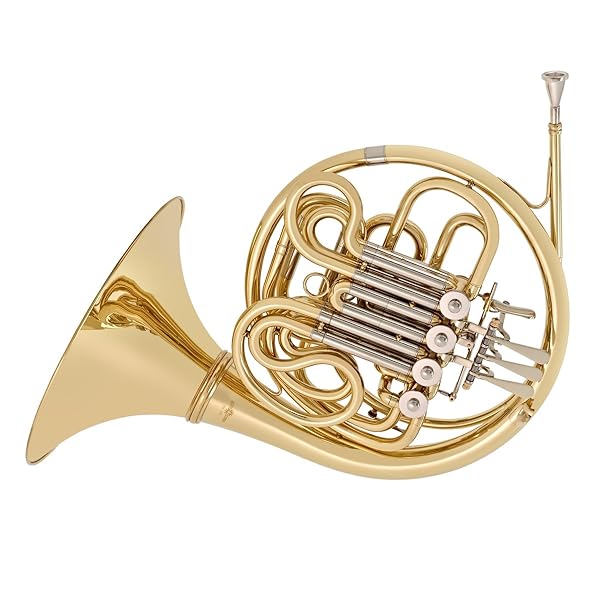 Student French Horn by Gear4music Gold: Amazon.co.uk: Musical Instruments