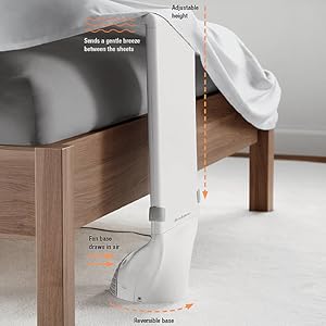 Amazon.com: Bed Fan with Wireless Remote: Home & Kitchen