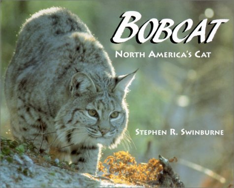 Bobcat by Stephen R. Swinburne | Goodreads